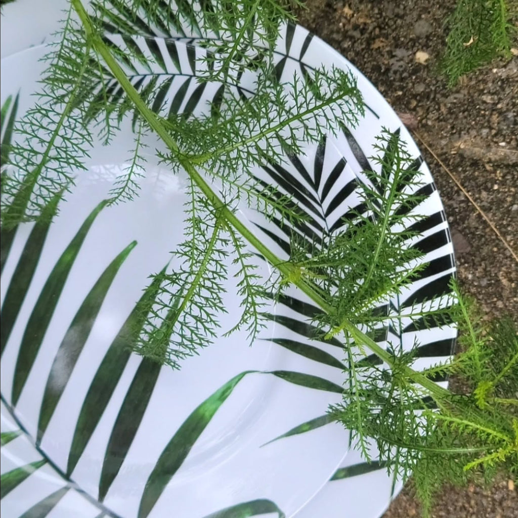 Kenzia Dinner Plate Set of 6 (Ø 27 x H 2) cm