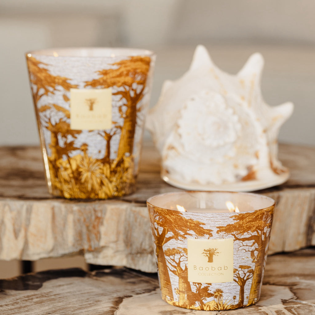 Sacred Trees Cocody Candle Basil, Jasmin, Patchouli Limited Edition (H ...