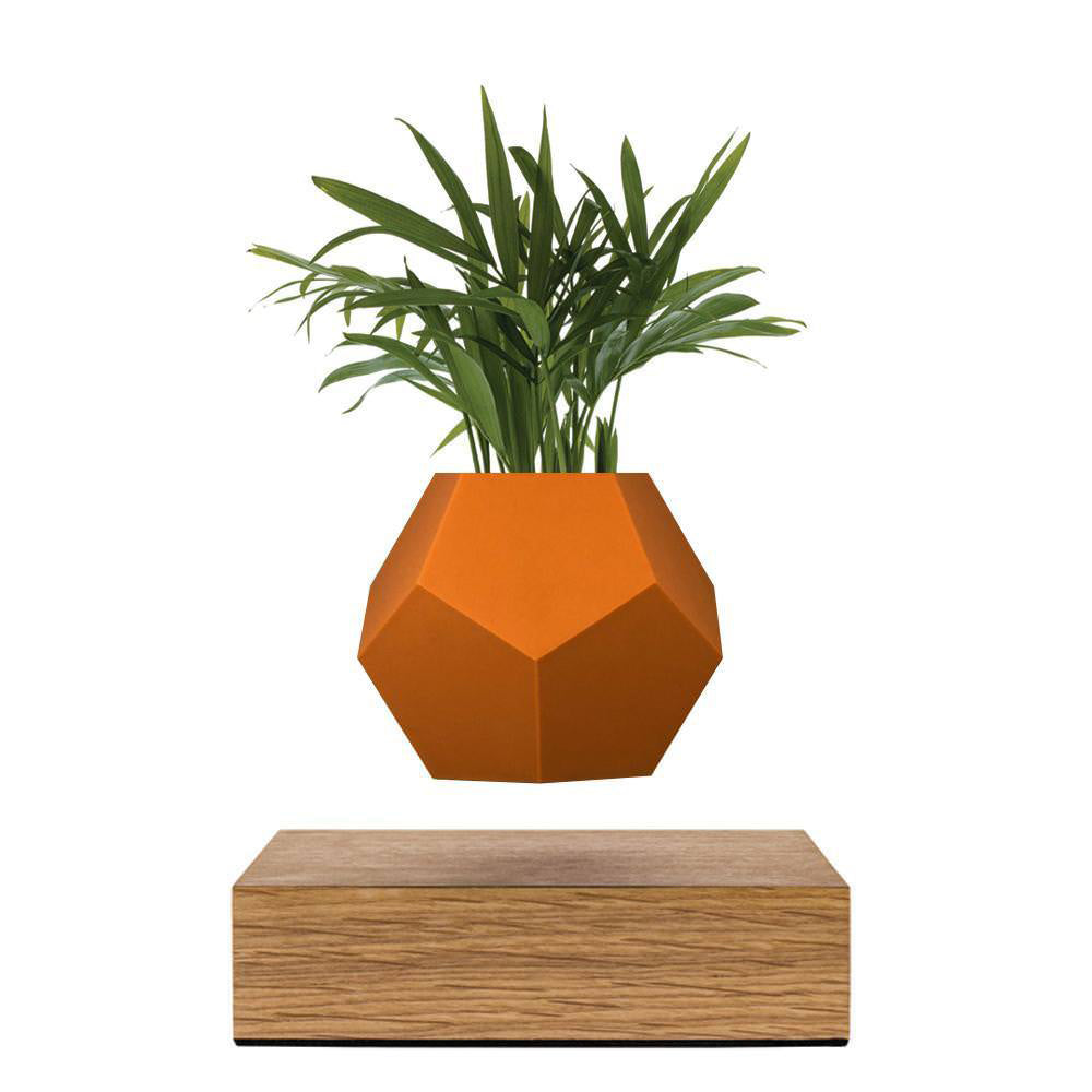 Lyfe Planter with Oak Base and Terracotta Skin Bundle