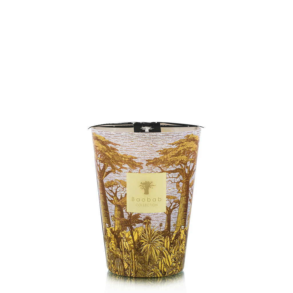 Sacred Trees Cocody Candle Basil, Jasmin, Patchouli Limited Edition (H ...